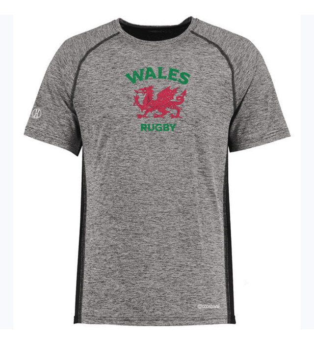 Nations of Rugby Wales Rugby Electrify Training Tee / World Rugby Shop