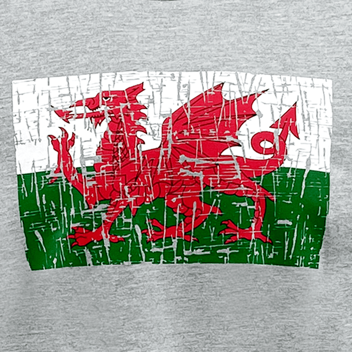 Wales Rugby Union Flag Tee / World Rugby Shop
