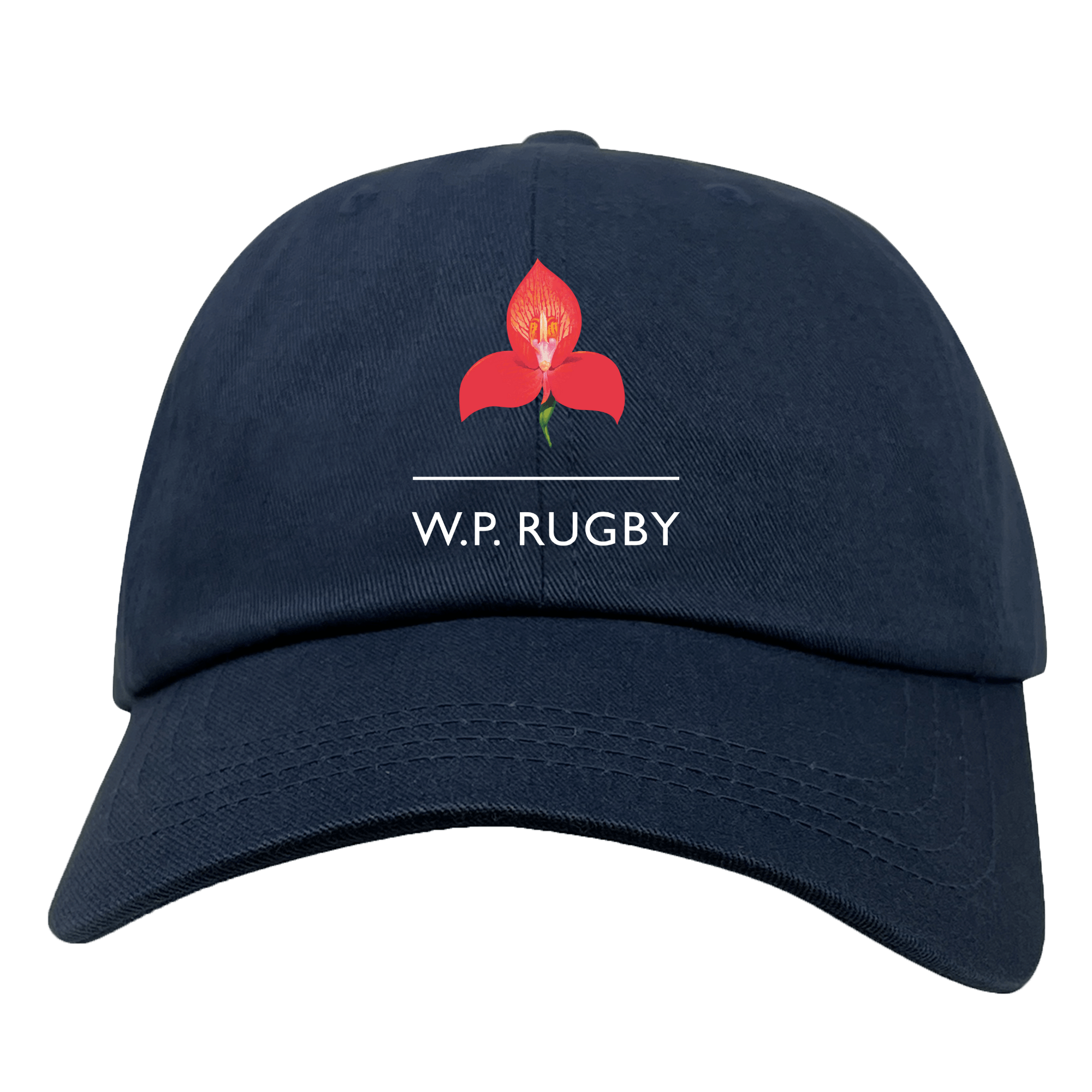Western Province Rugby Cotton Twill Dad Cap | World Rugby Shop