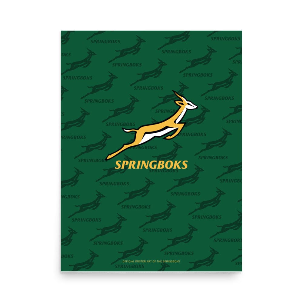 Springboks Rugby Silhouette Poster | World Rugby Shop