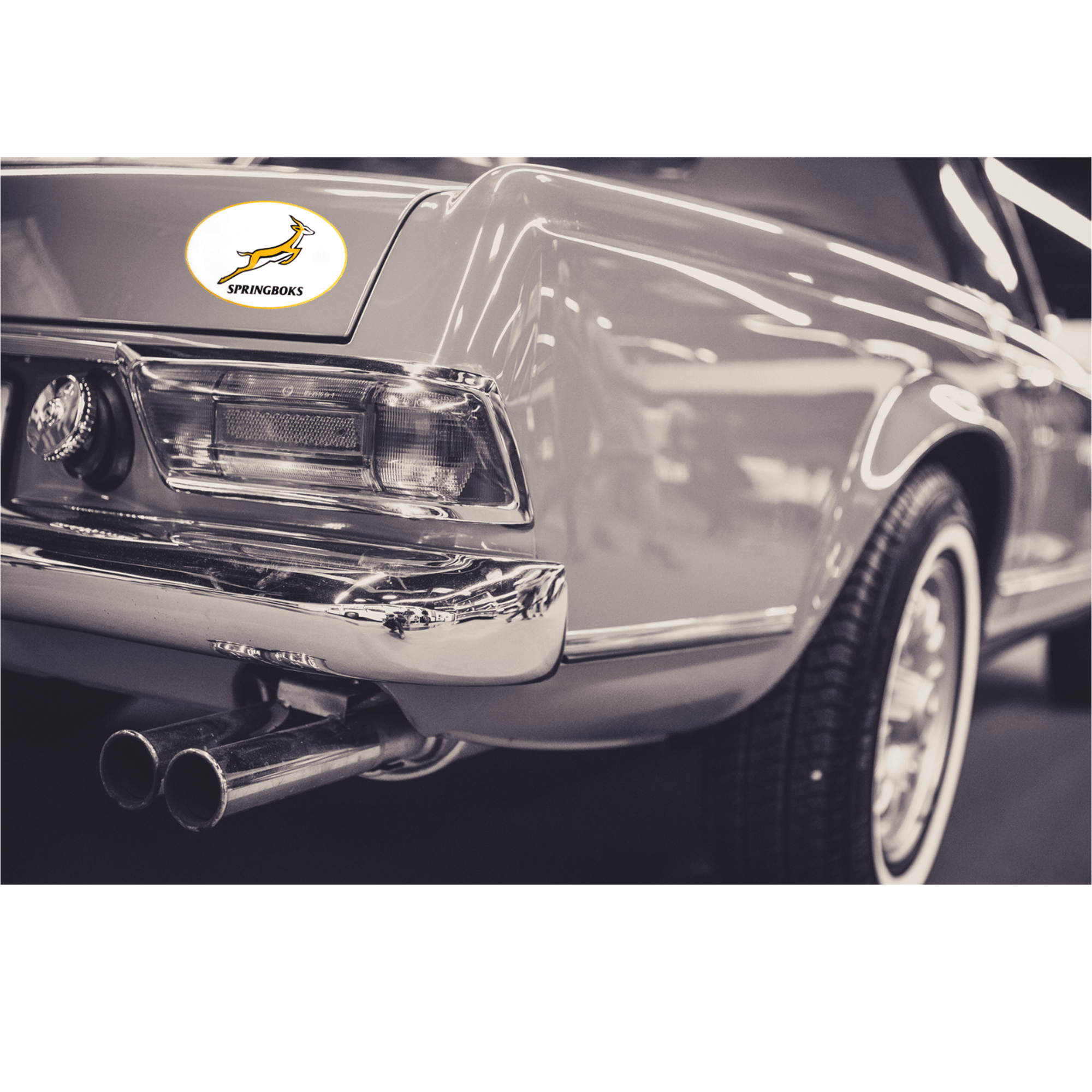 Springboks Rugby Sticker Sheet - 24 Stickers | World Rugby Shop